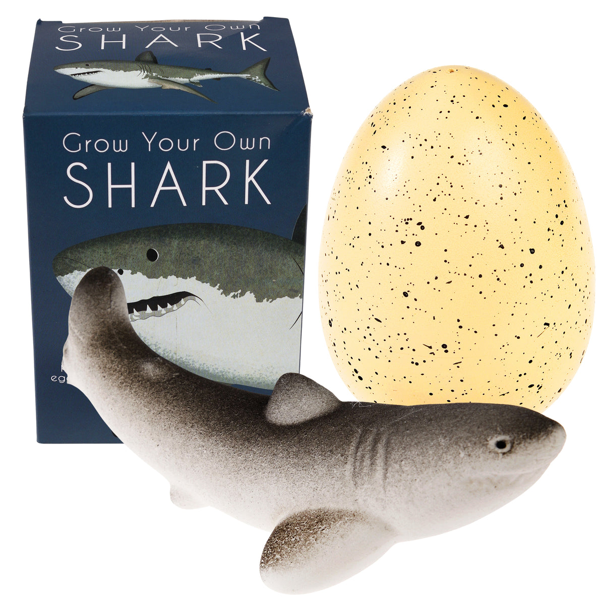 Rex London Giant hatching shark egg - Sharks – Sophea In Wonderland